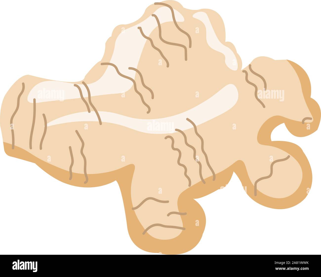 Ginger, illustration, vector on white background Stock Vector Image ...