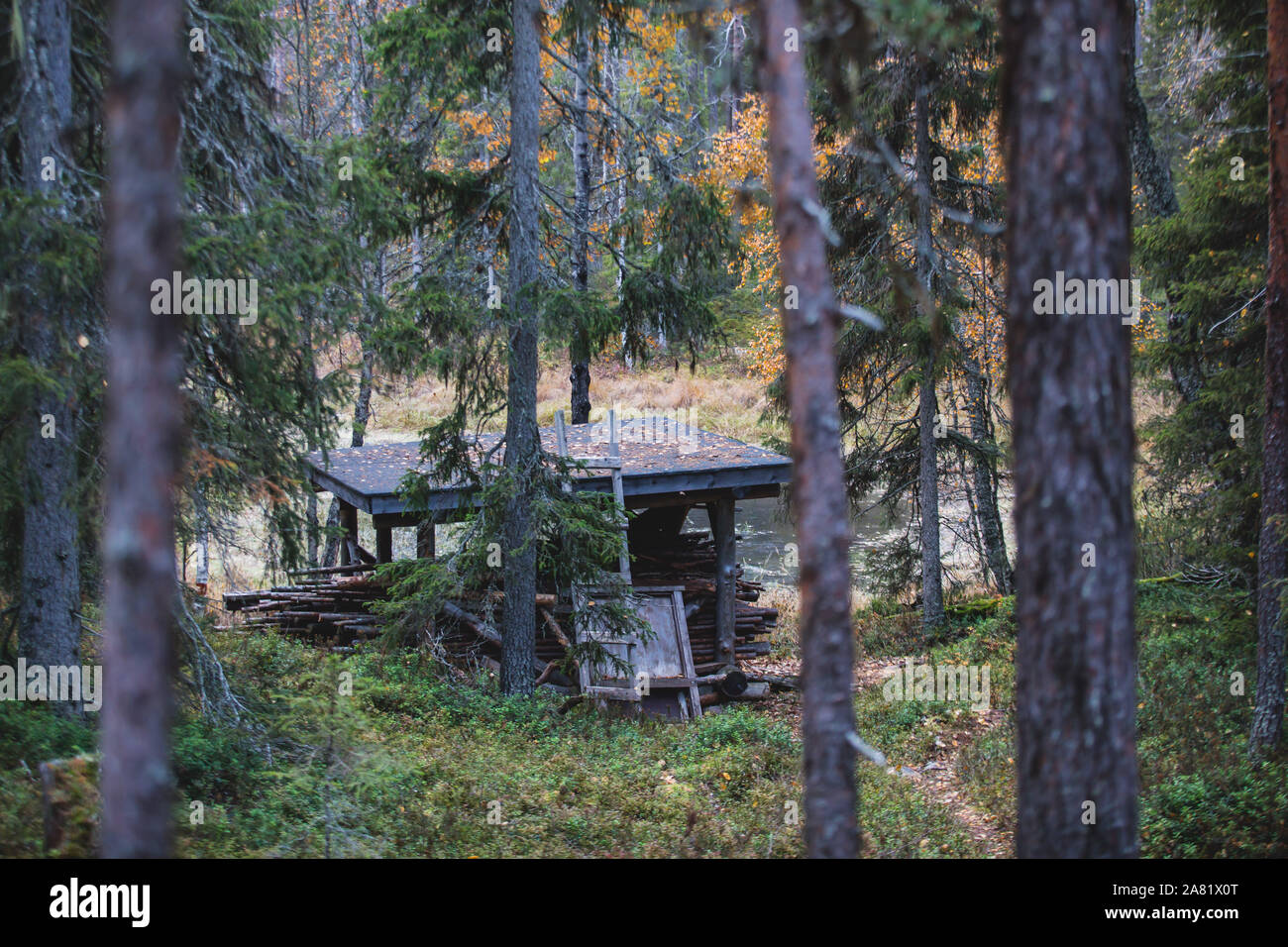 View of finnish National park Oulanka with wooden wilderness hut, cabin ...