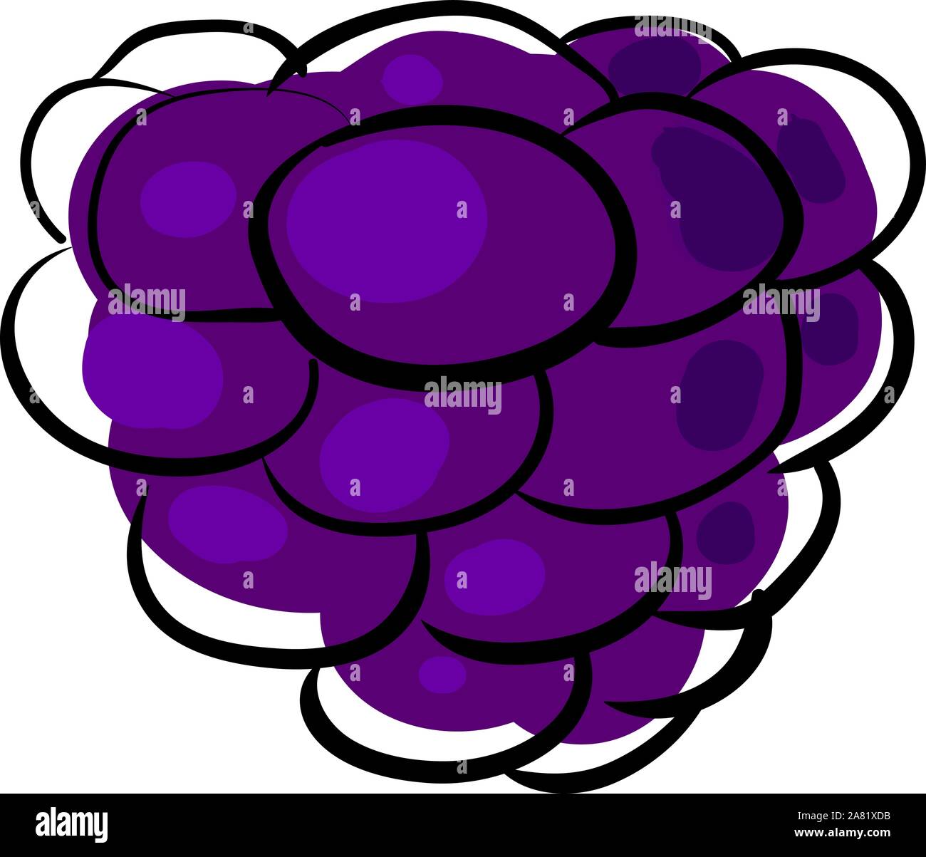 Blackberry drawing, illustration, vector on white background Stock ...