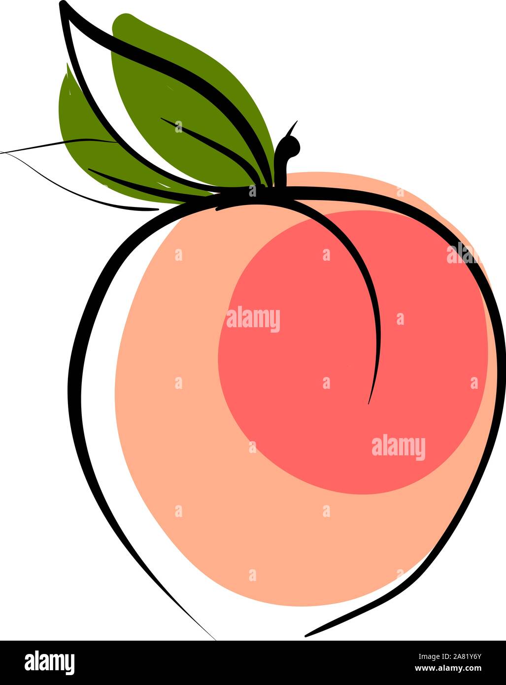 Fresh peach, illustration, vector on white background Stock Vector ...