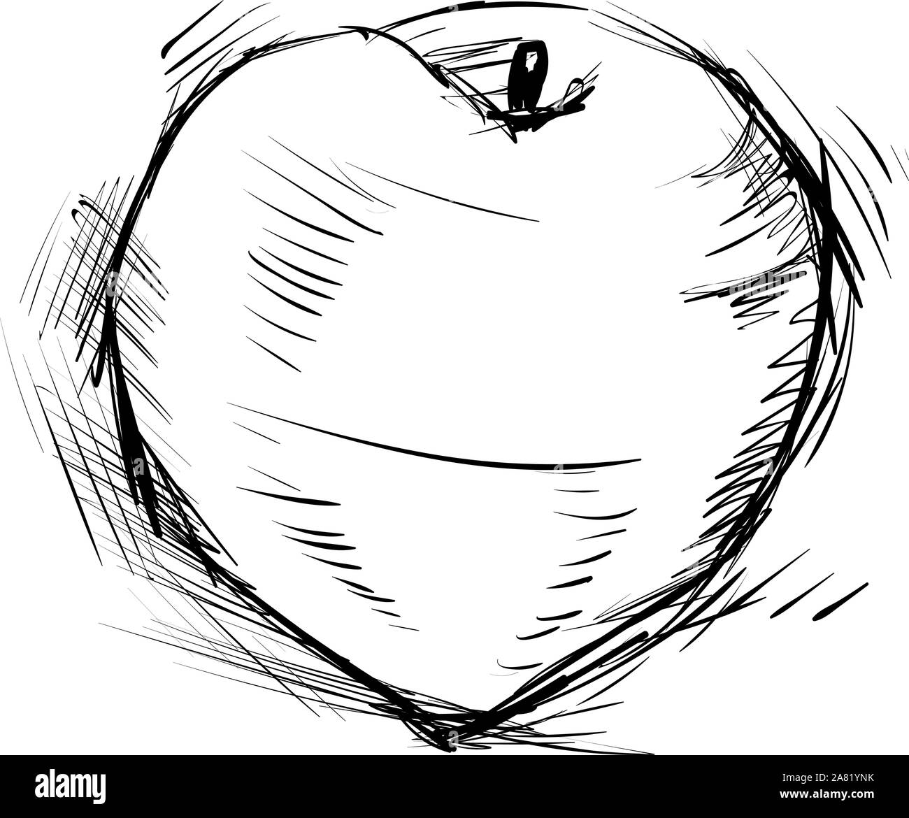 Peach sketch, illustration, vector on white background Stock Vector ...