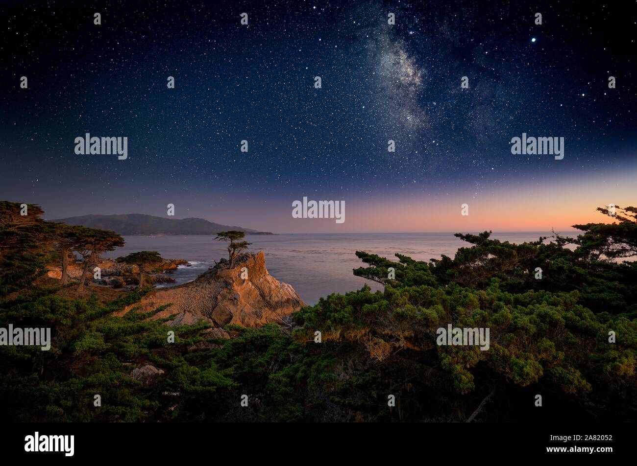 Lone Cypress tree at Carmel's 17 Mile Drive Stock Photo - Alamy