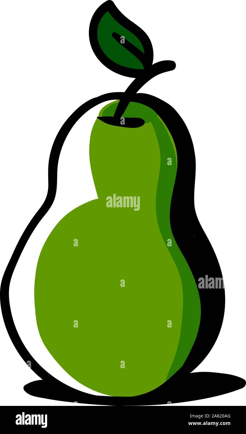 Pear drawing, illustration, vector on white background Stock Vector ...