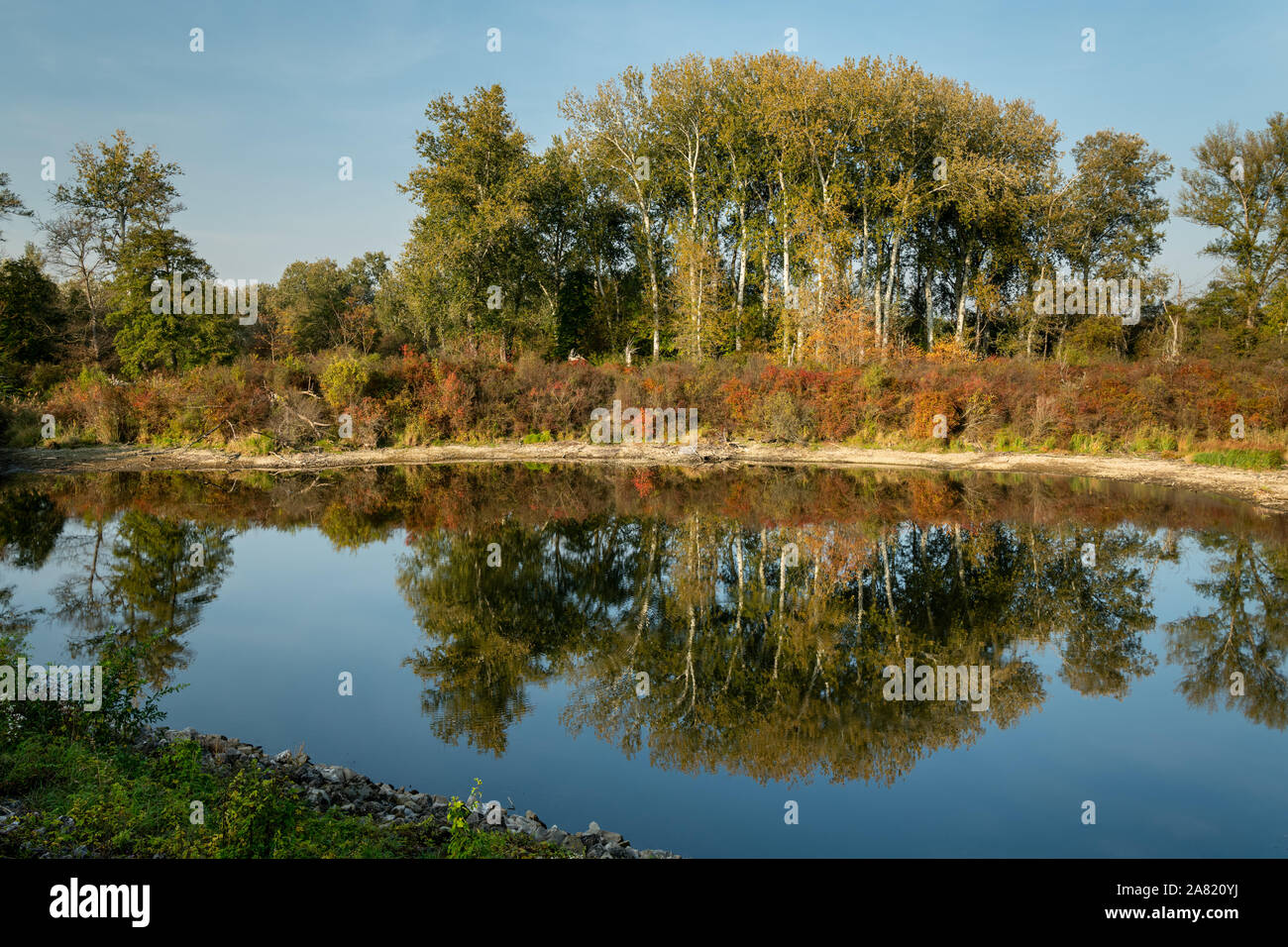 Lobau hi-res stock photography and images - Alamy