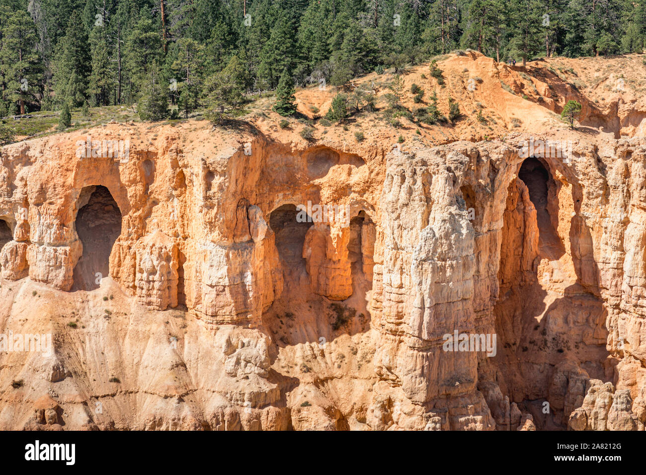 Arches in the Hoodoo formation at Bryce Canyon National Park, Utah ...