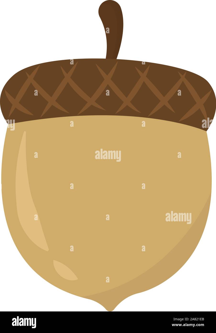 Acorn isolated on white Stock Vector Images - Alamy