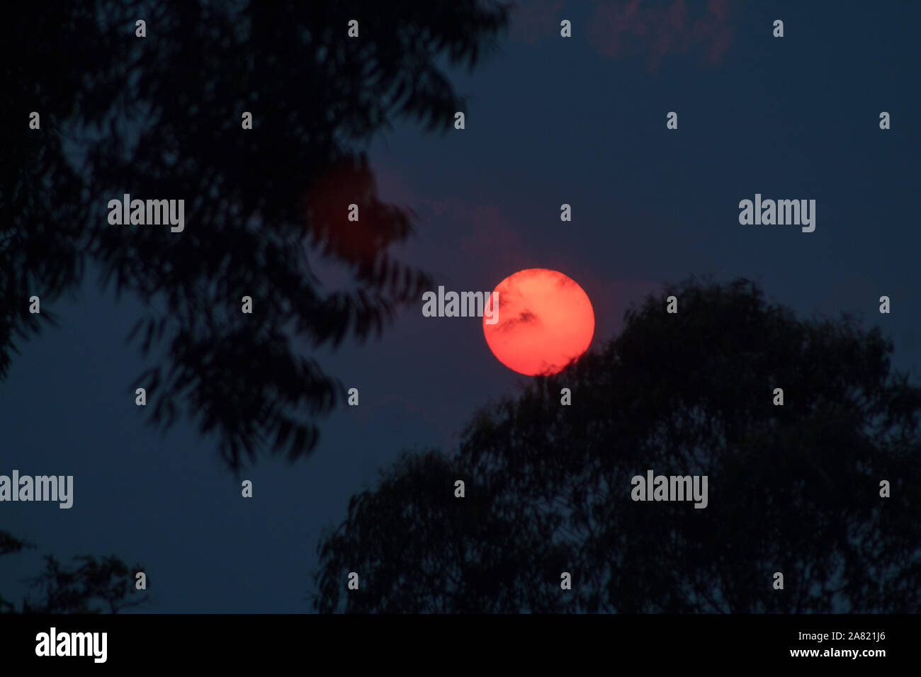 A Red Sunset Behind Trees Stock Photo - Alamy