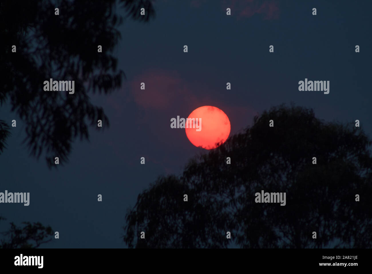 A Red Sunset Behind Trees Stock Photo - Alamy