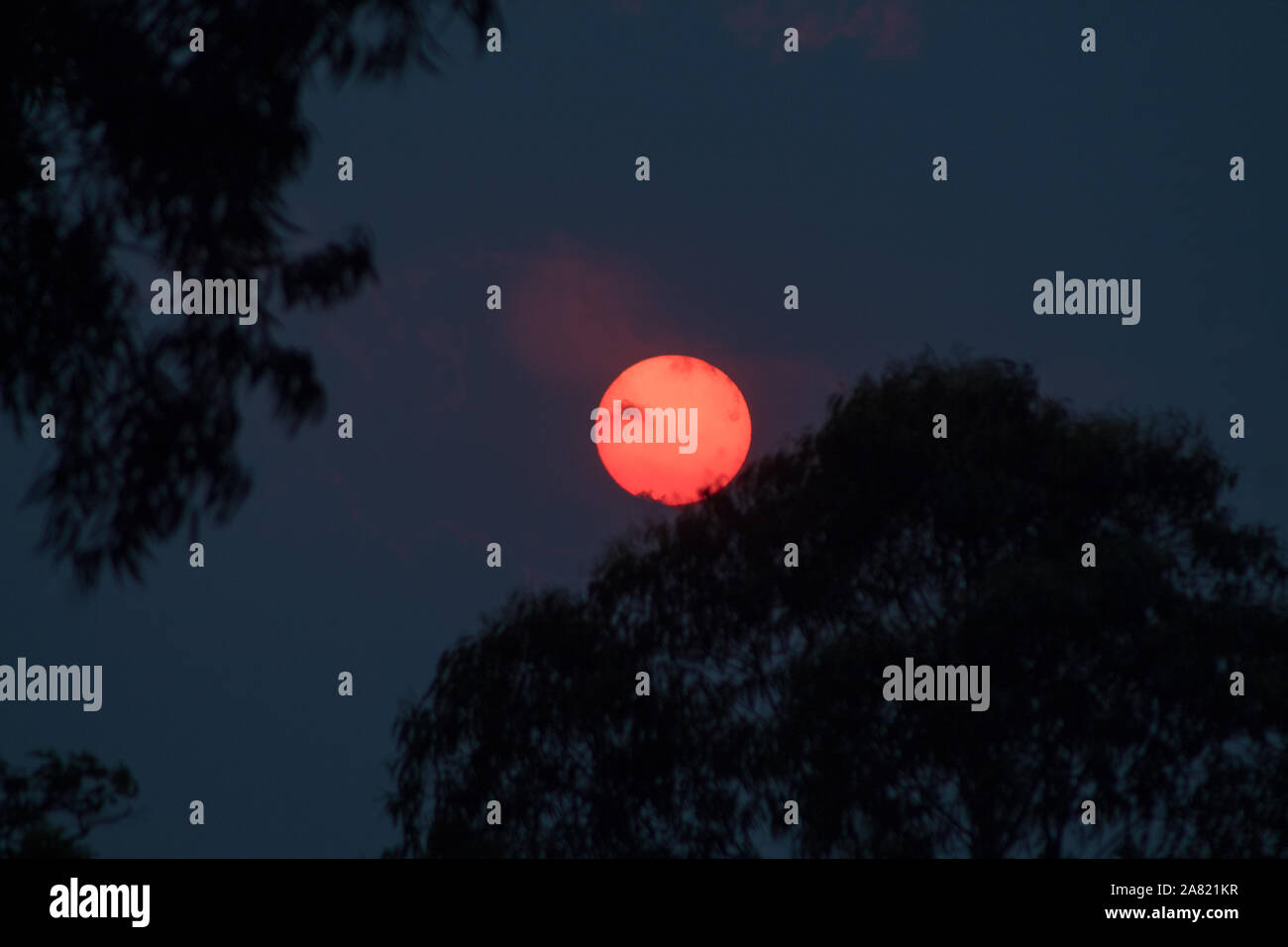 Light behind trees hi-res stock photography and images - Alamy