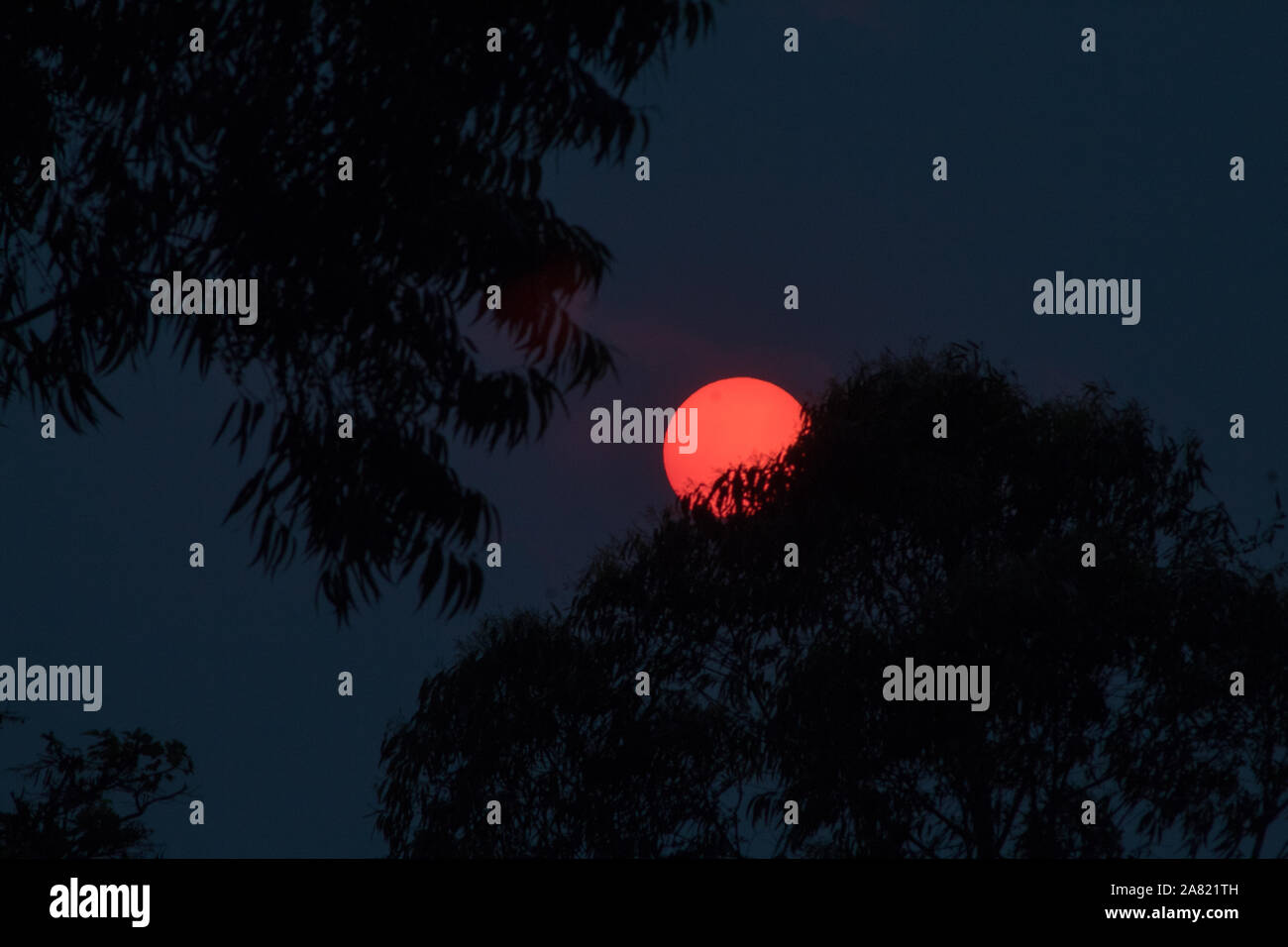 Sun behind tree hi-res stock photography and images - Alamy