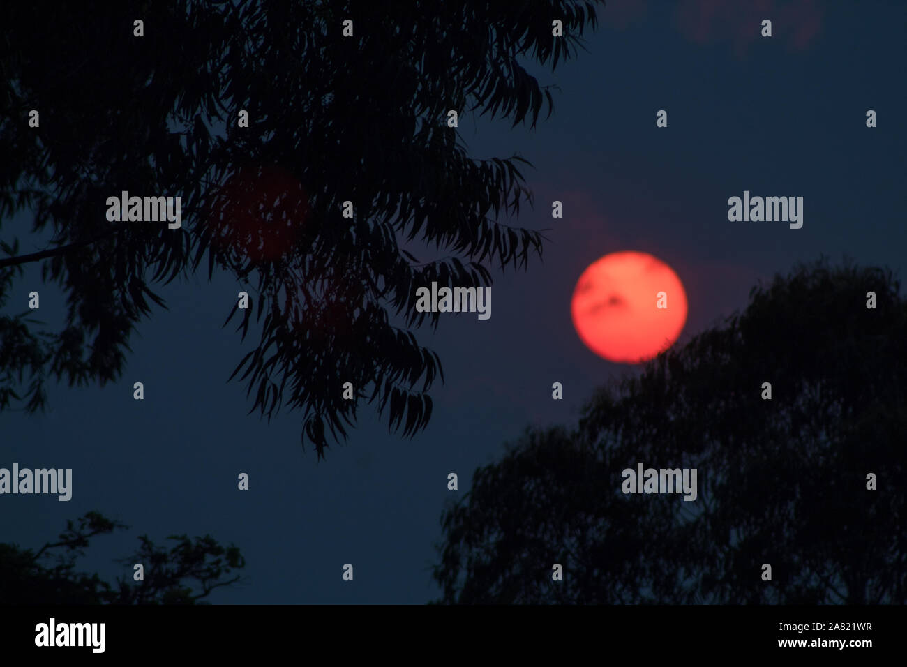 Sun behind tree hi-res stock photography and images - Alamy