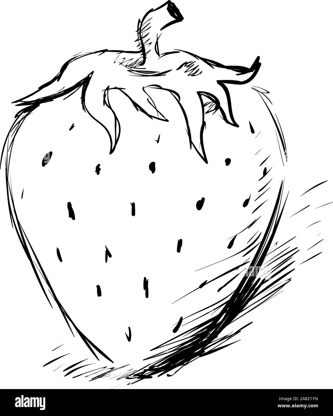 Strawberry sketch, illustration, vector on white background Stock ...