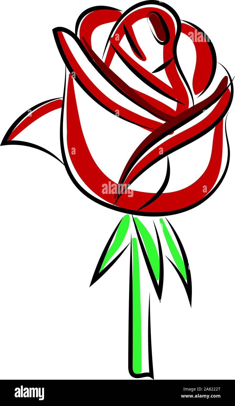 Single red rose on the rose plant Stock Vector Images - Alamy