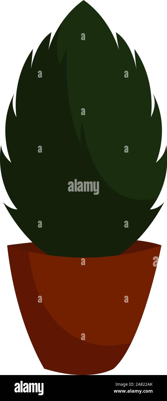 Background of thuja Stock Vector Images - Alamy