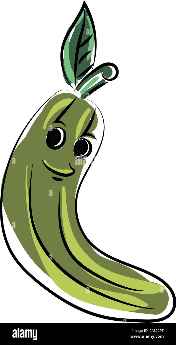 Courgette plant on white Stock Vector Images - Alamy