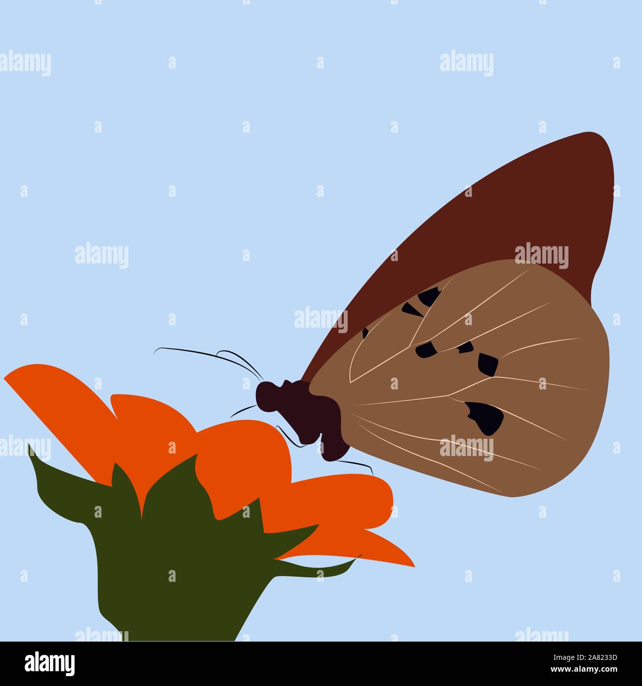 Retro card butterfly vector Stock Vector Images - Alamy