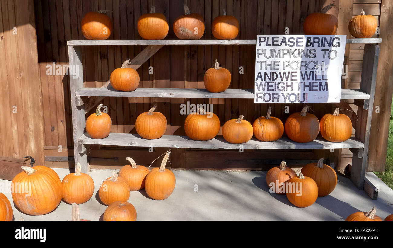 fall pumpkins on shelf at a farm in vermont, usa Stock Photo - Alamy
