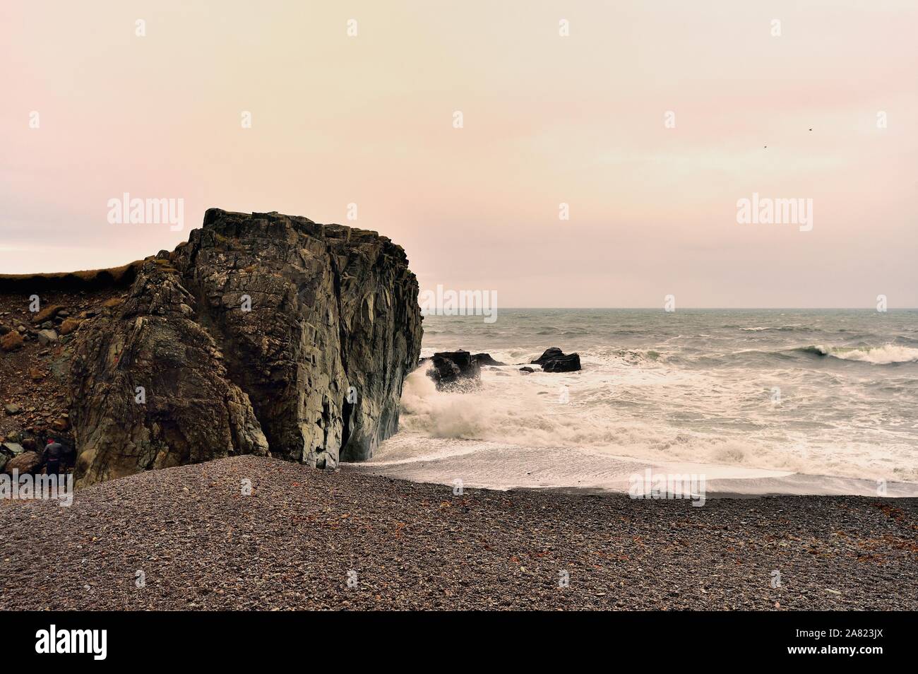 East Fjords, Iceland. Rocks and black sand beaches formed by volcanic ...