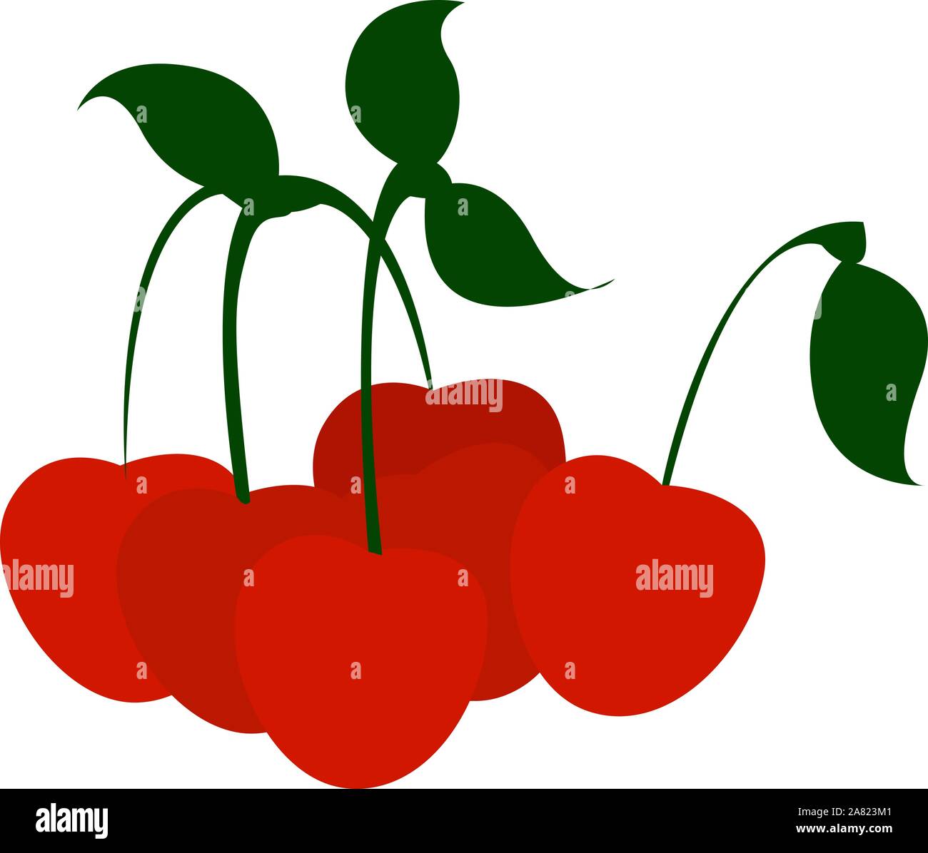 Cherries, illustration, vector on white background Stock Vector Image ...