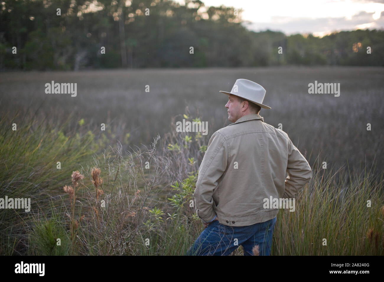Fedora hat man rear view hi-res stock photography and images - Alamy