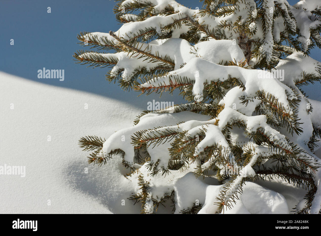 Covering plants for winter hi-res stock photography and images - Alamy