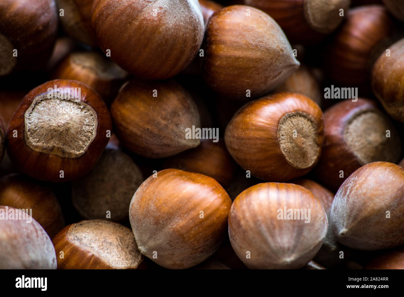 healthy natural hazelnuts background. food concept photo Stock Photo ...