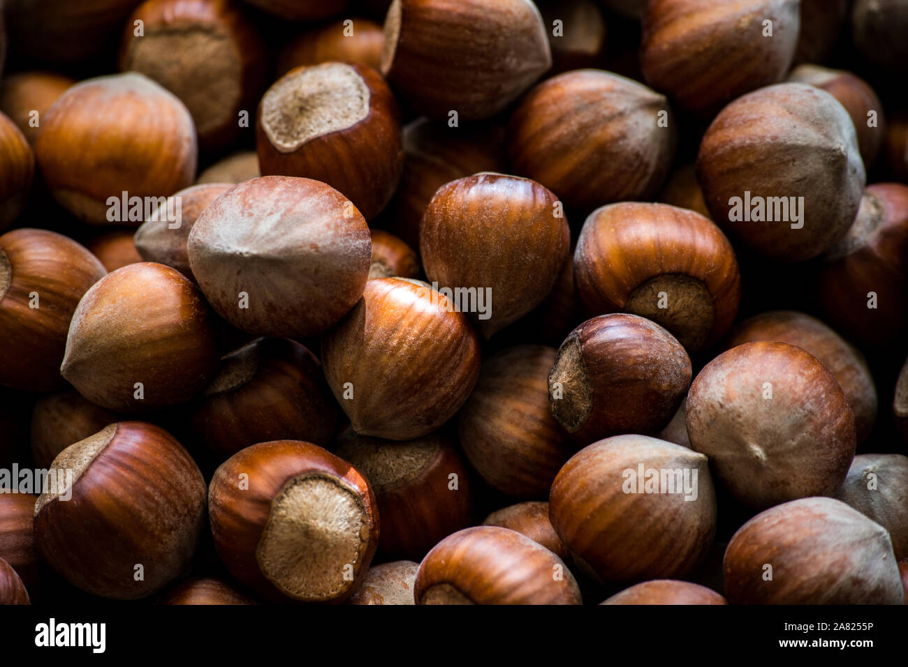 healthy natural hazelnuts background. food concept photo Stock Photo ...