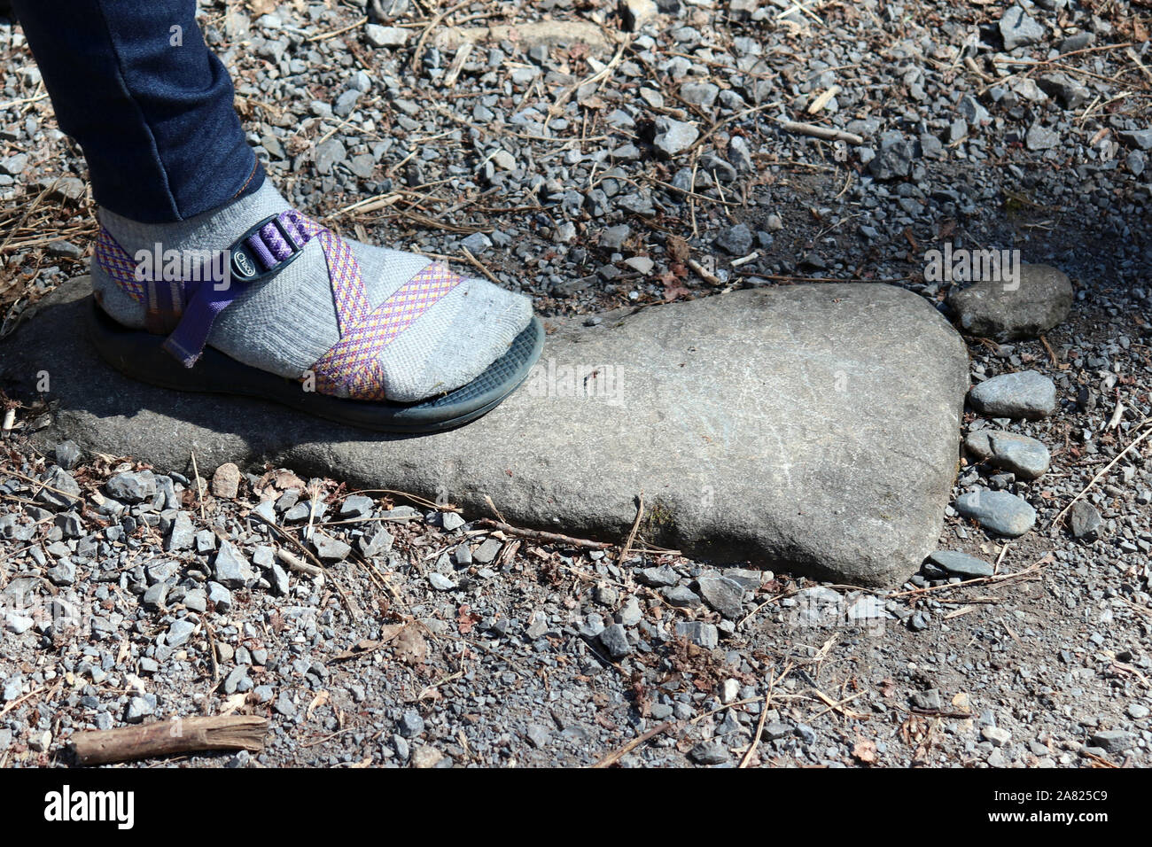 Foot comparison hi-res stock photography and images - Alamy