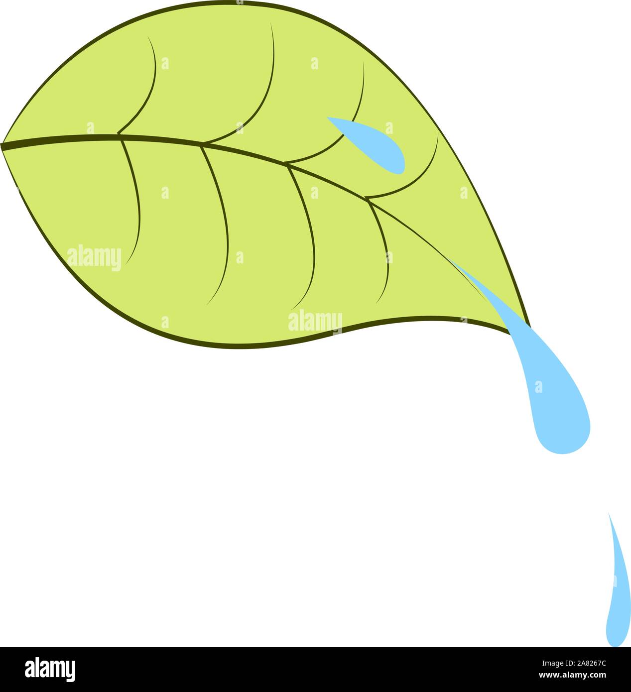 Morning dew, illustration, vector on white background Stock Vector ...