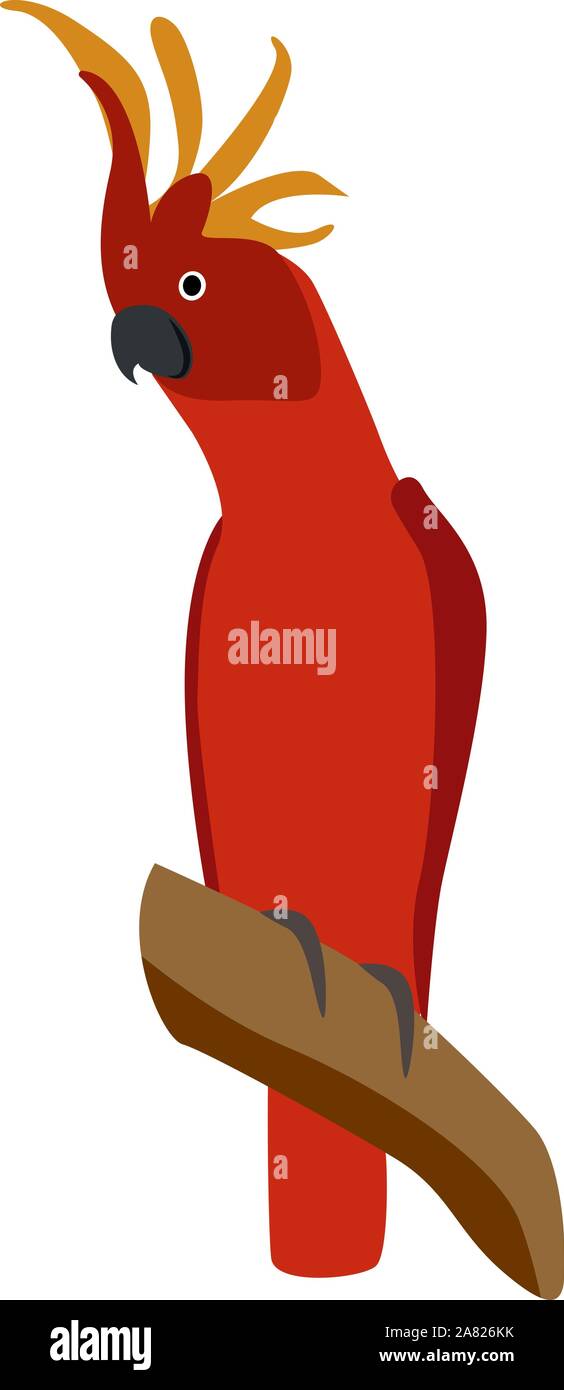 Red parrot, illustration, vector on white background Stock Vector Image ...