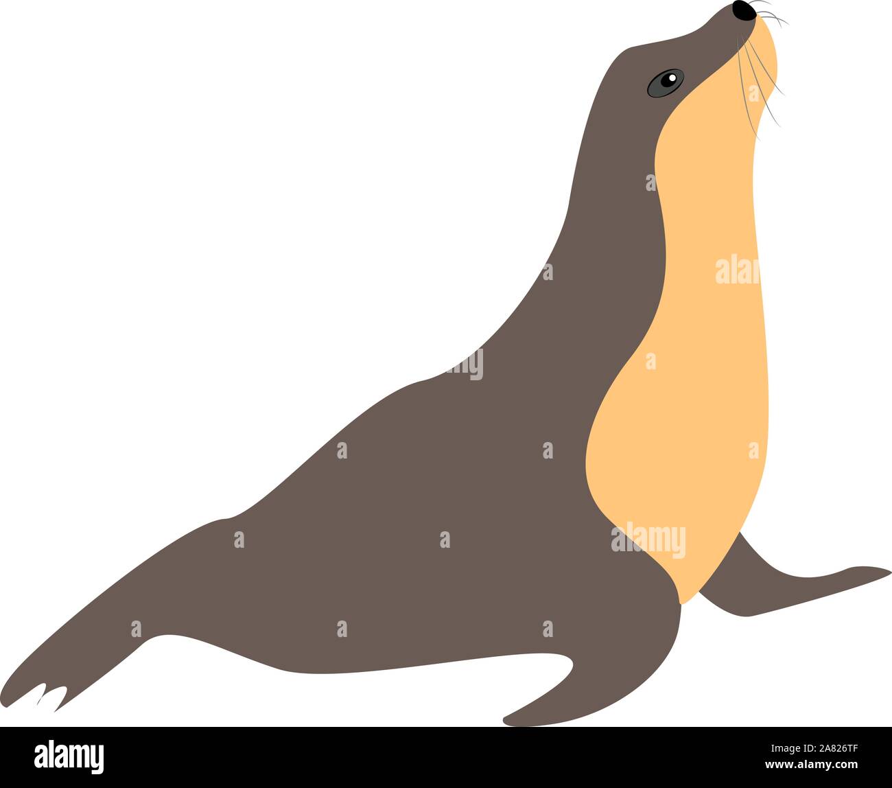 Harbor seal face Stock Vector Images - Alamy
