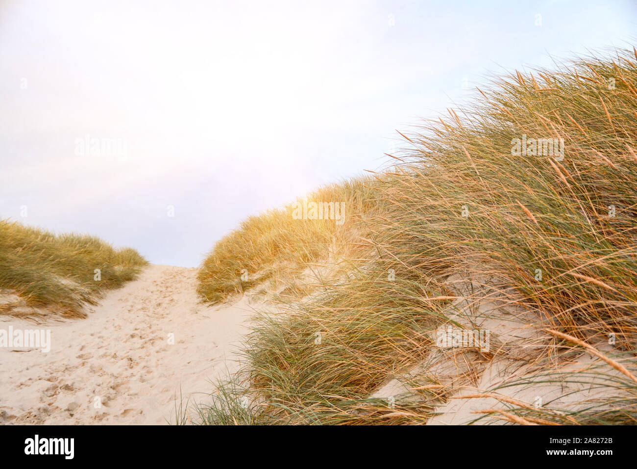 Denmark jutland skagen peninsula hi-res stock photography and images ...