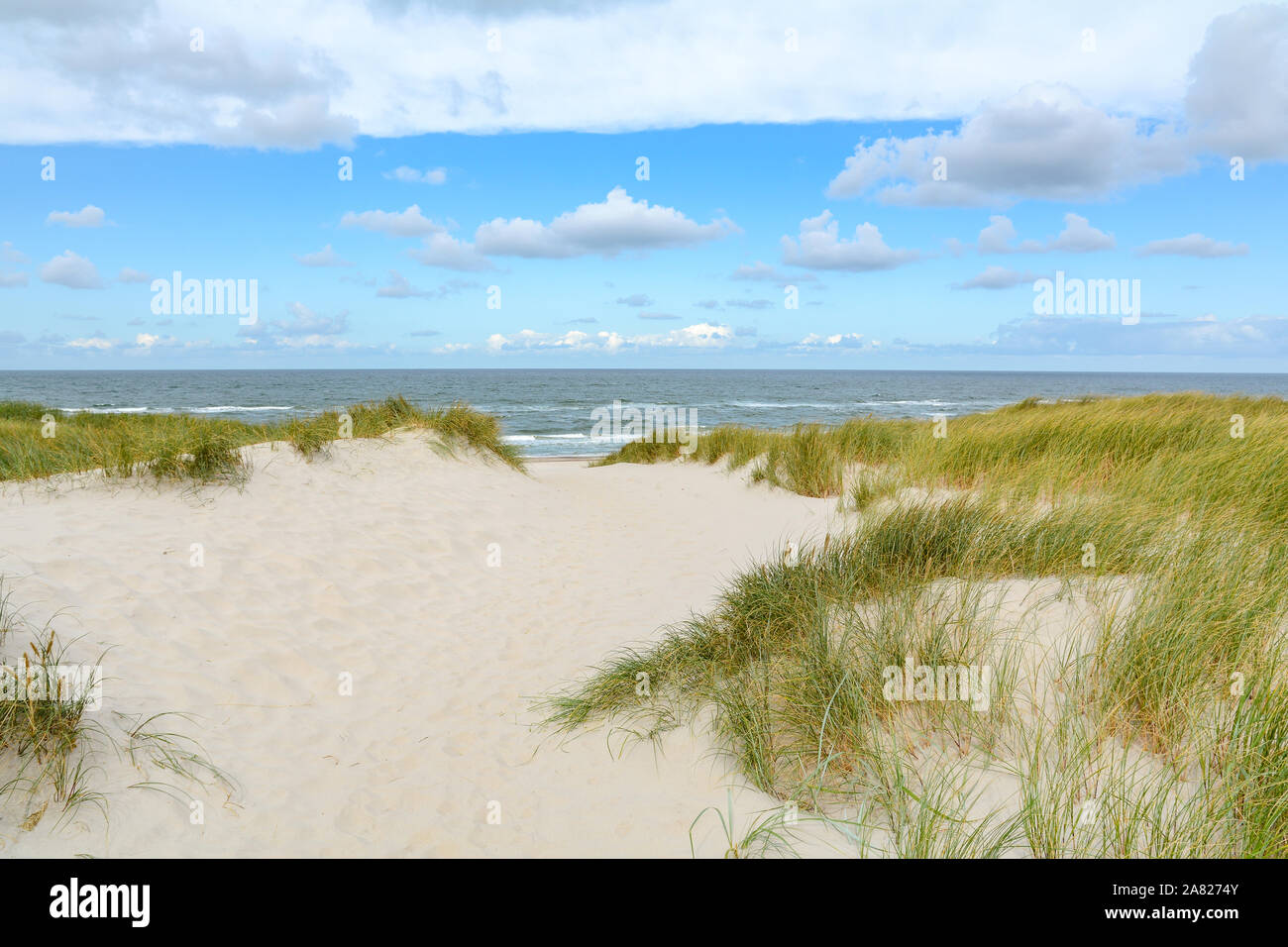 View on the beautiful landscape with sand and dunes at the North Sea ...