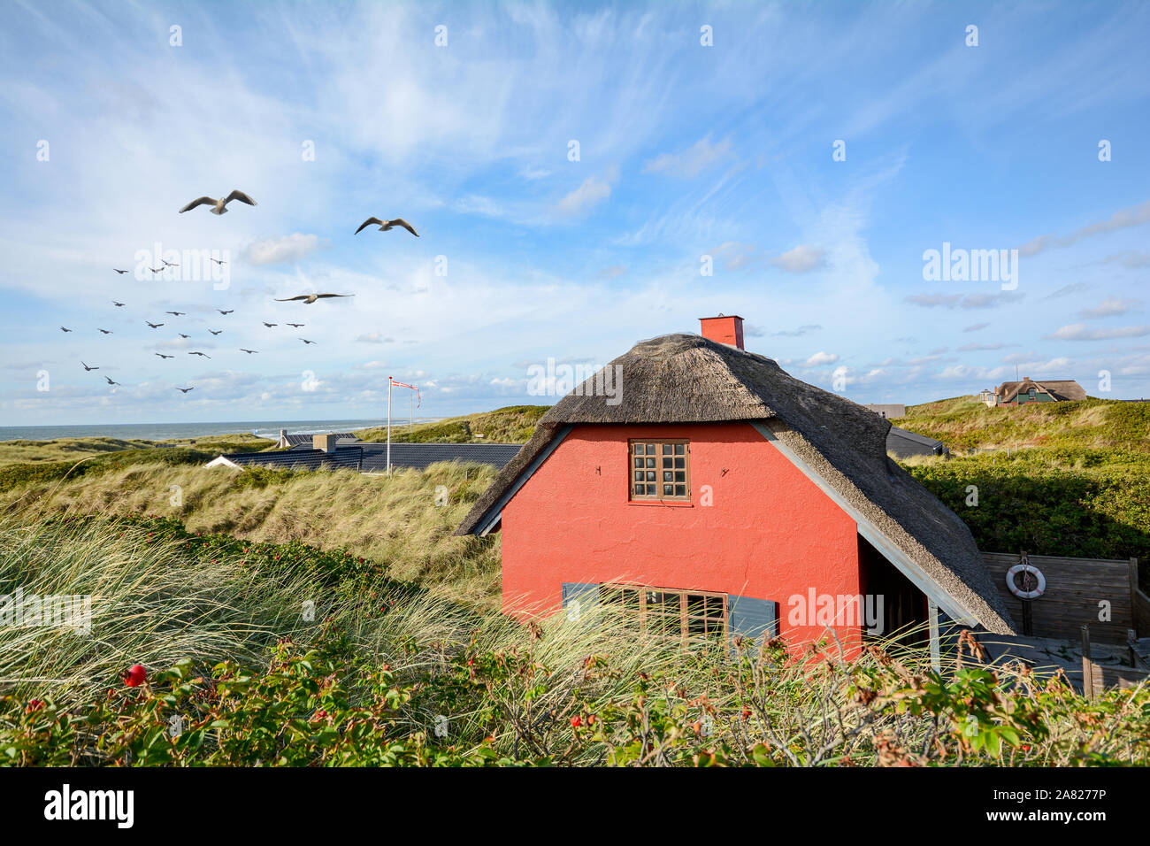 Jutland peninsula of denmark hi-res stock photography and images - Alamy
