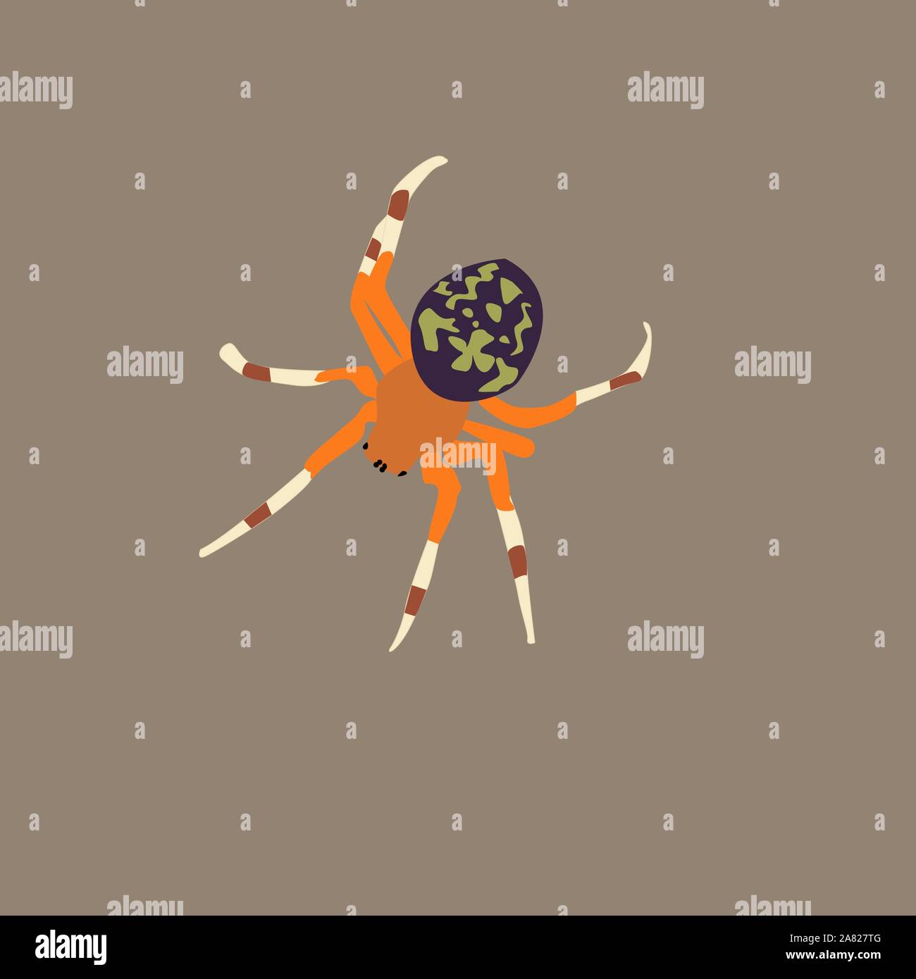 Spider, illustration, vector on white background Stock Vector Image ...