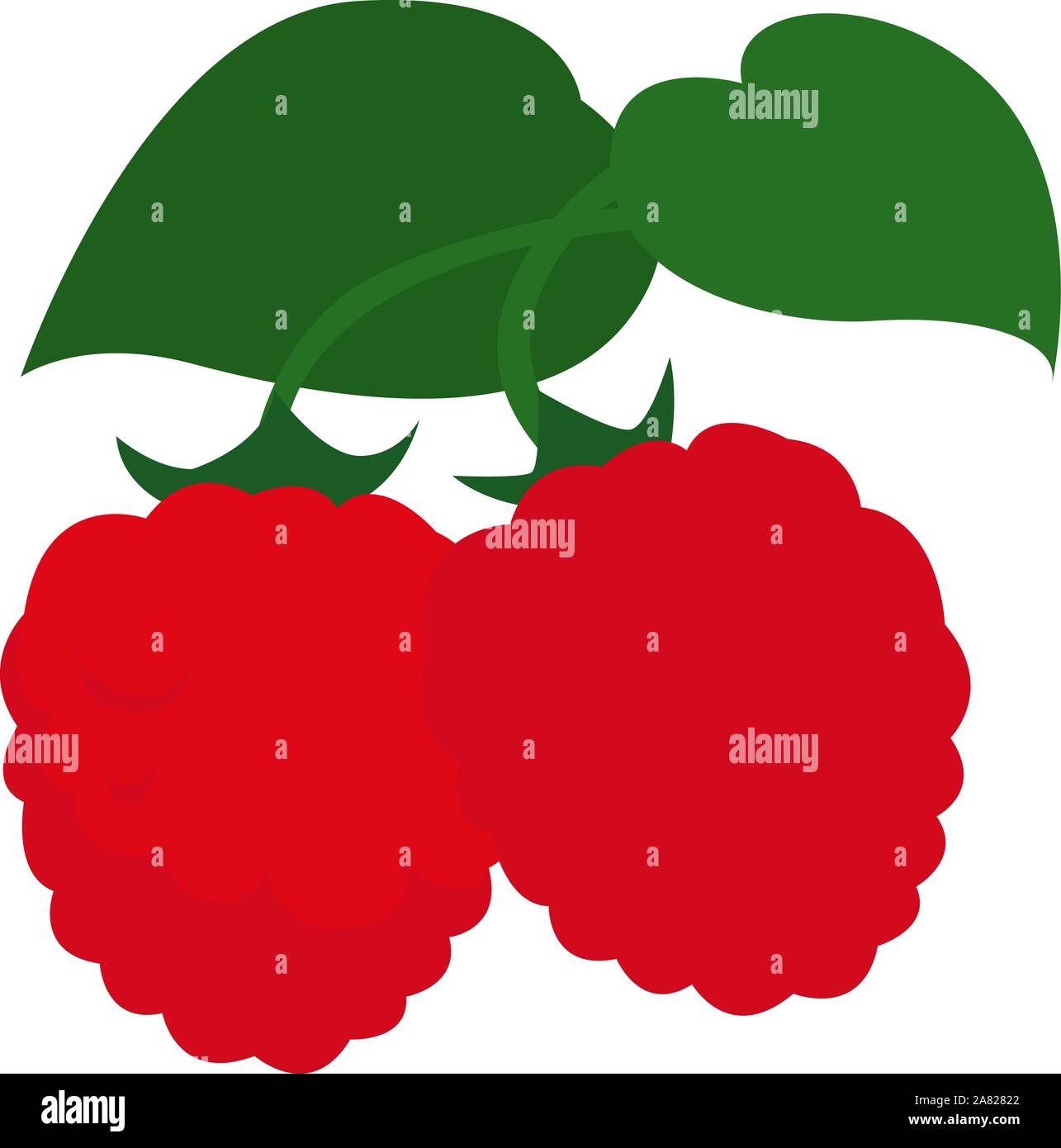 Raspberry, illustration, vector on white background Stock Vector Image ...