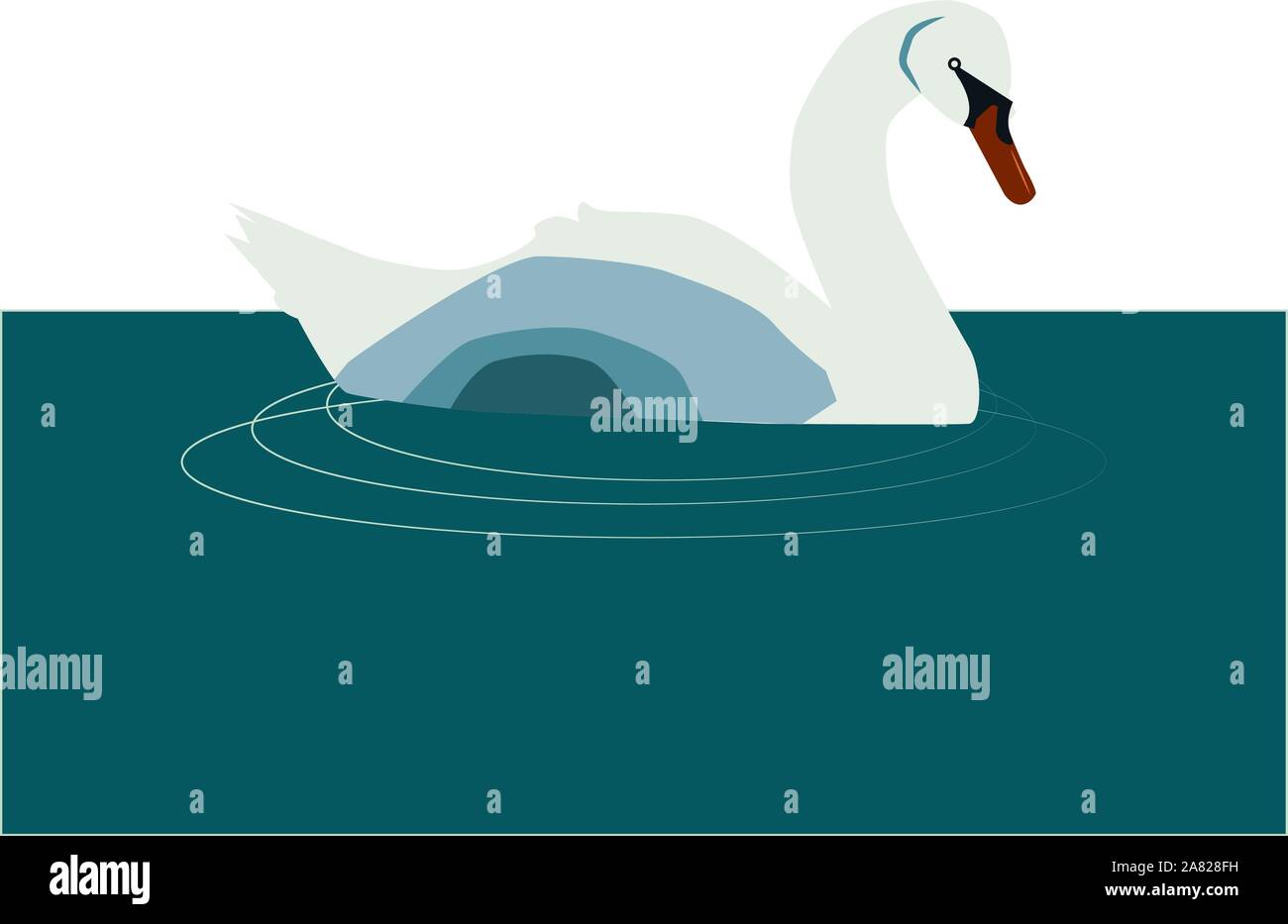 Swan on water, illustration, vector on white background Stock Vector ...