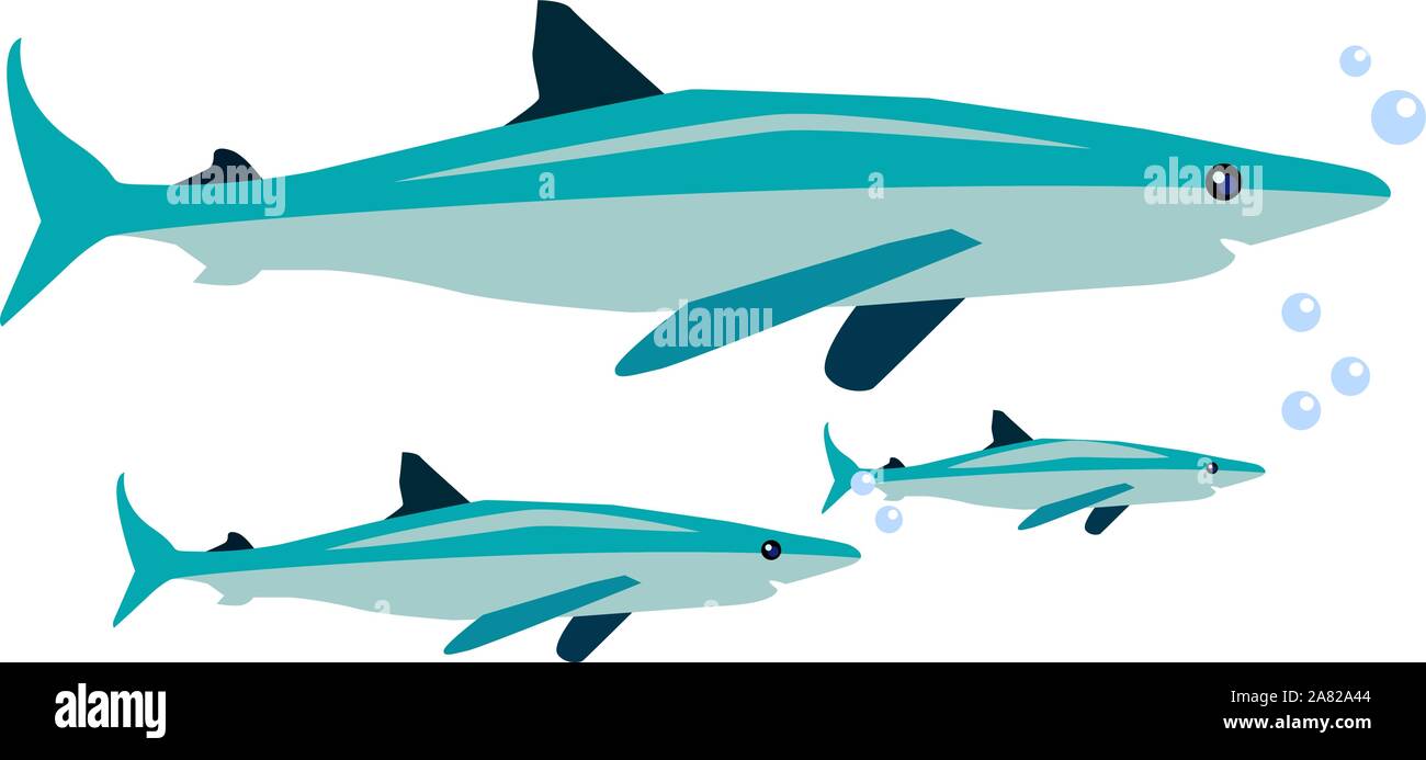 Sharks texture Stock Vector Images - Alamy
