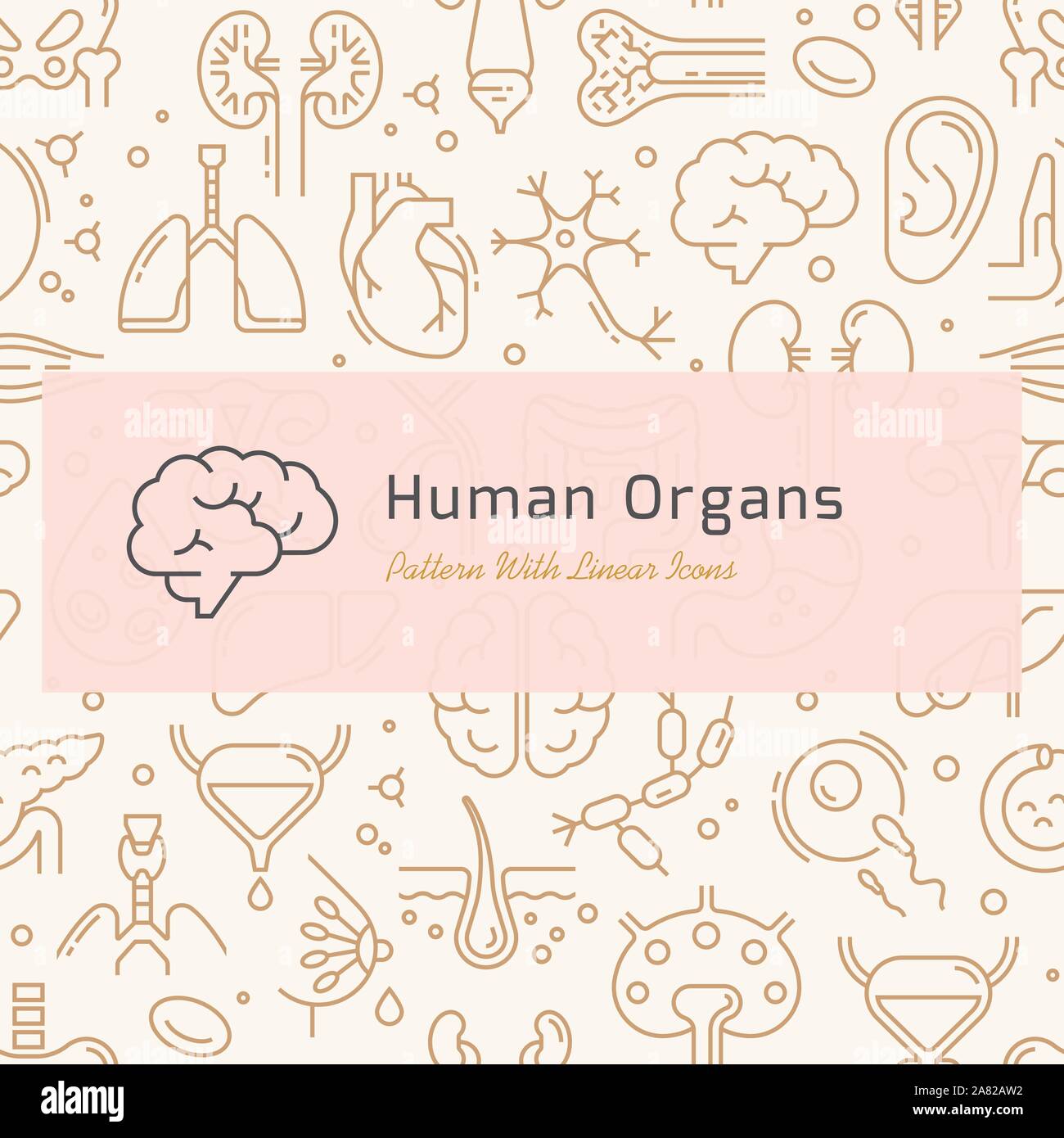 Seamless vector pattern of internal human organs icons in linear style ...