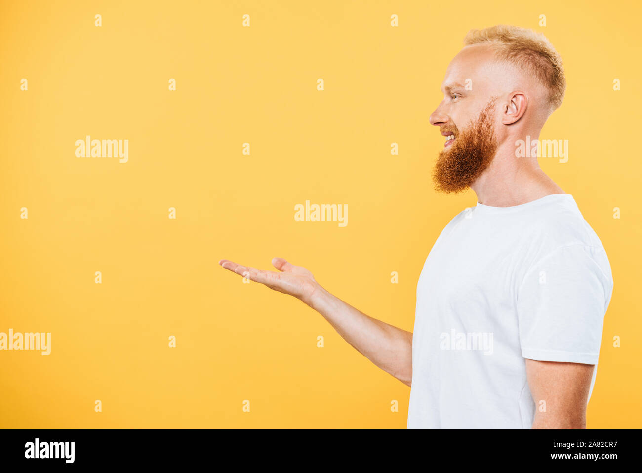 Man presenting something hi-res stock photography and images - Alamy