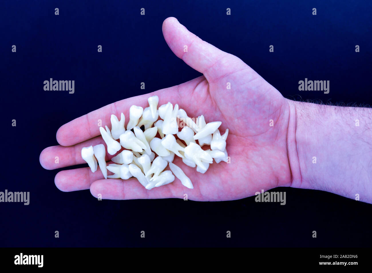 human hand holding a white teeth isolated on blue background Oral ...