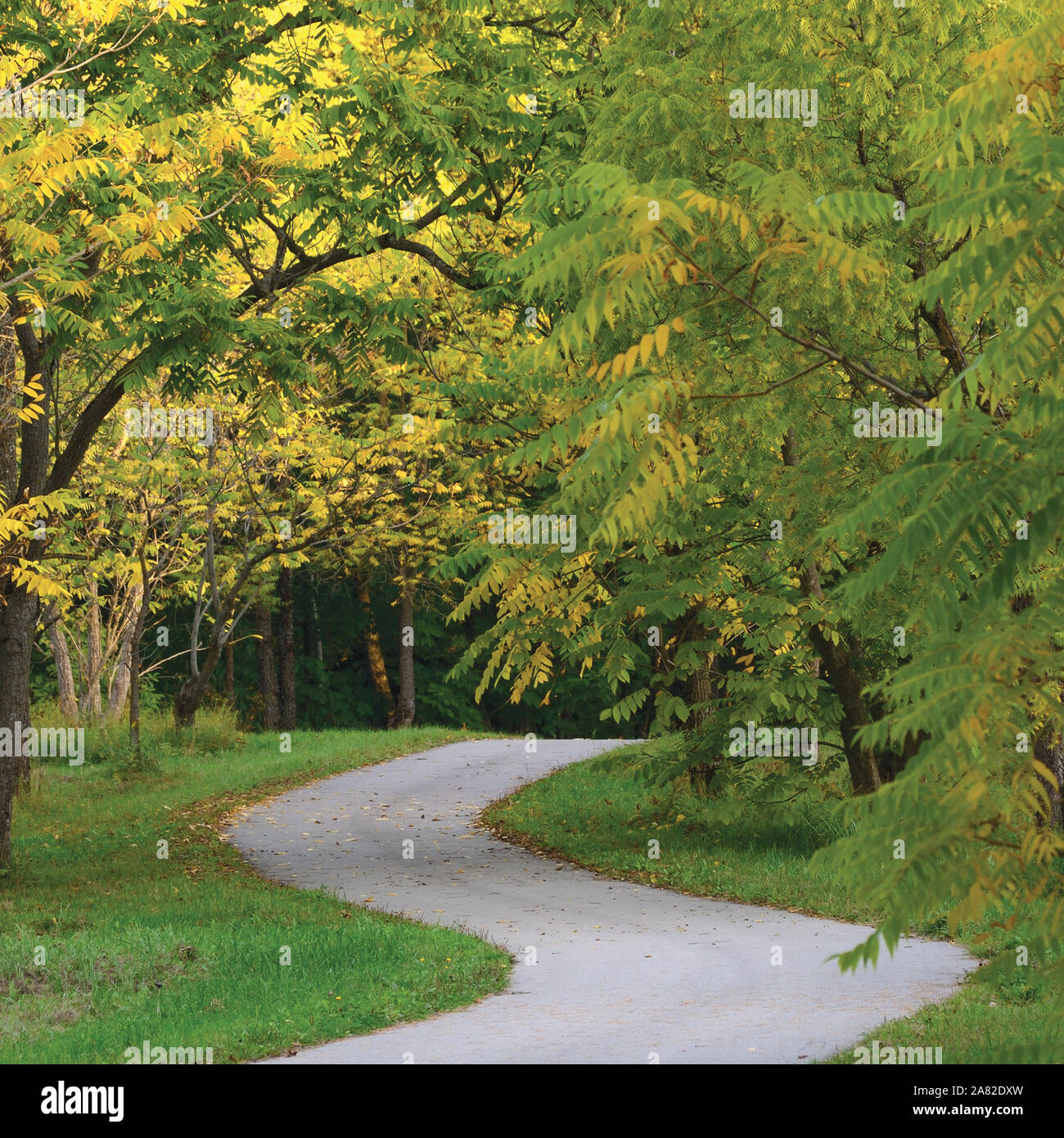 Tarmac to grass concept hi-res stock photography and images - Alamy