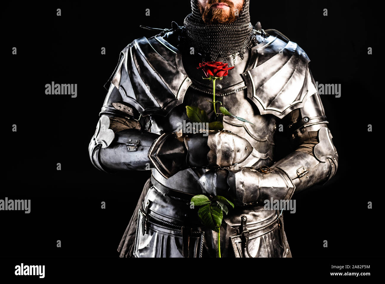 The Knight Of The Rose Stock Photos & The Knight Of The Rose Stock ...