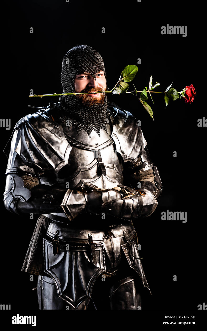 The Knight Of The Rose Stock Photos & The Knight Of The Rose Stock ...