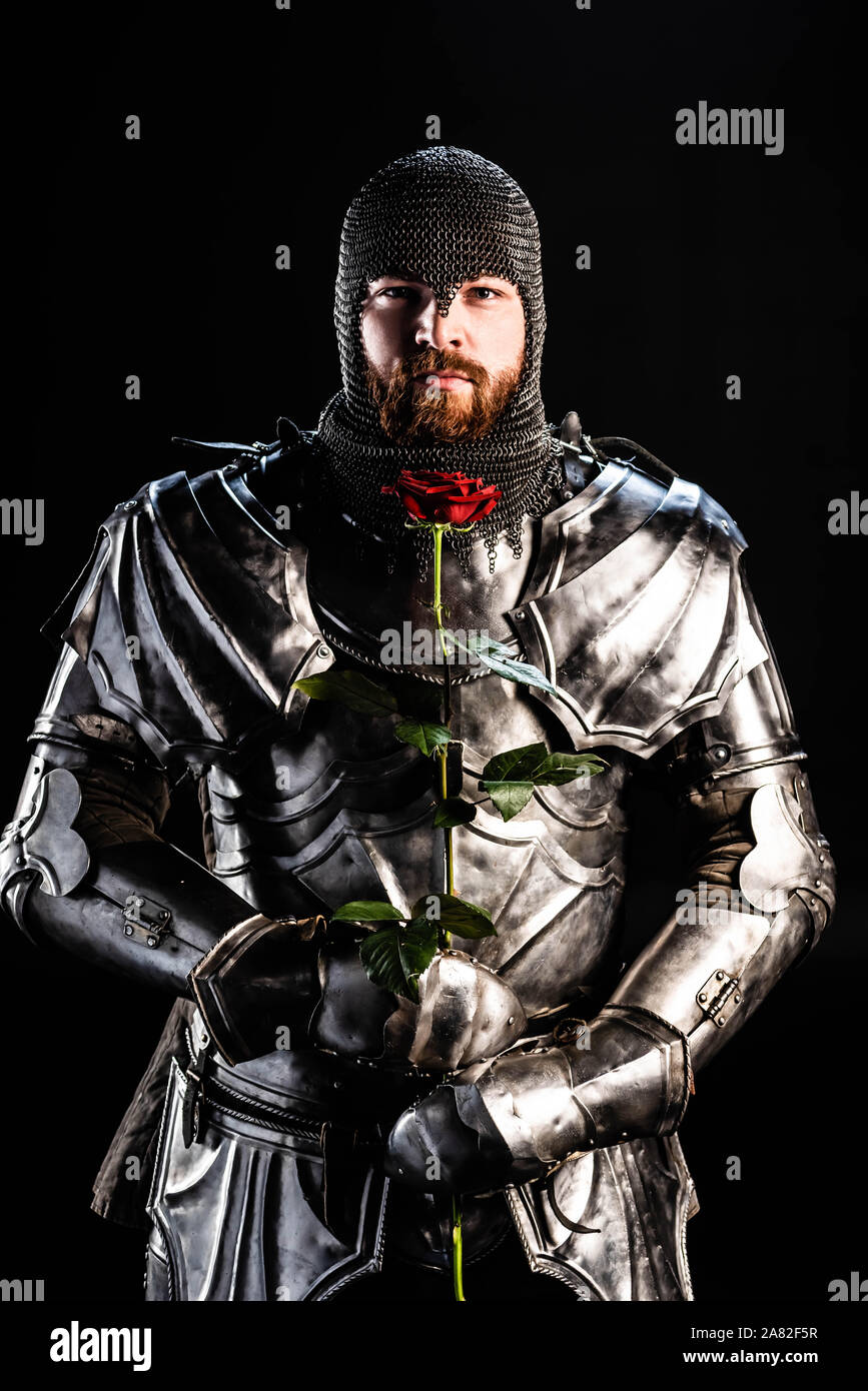 The Knight Of The Rose Stock Photos & The Knight Of The Rose Stock ...