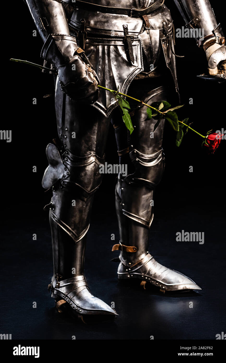 The Knight Of The Rose Stock Photos & The Knight Of The Rose Stock ...