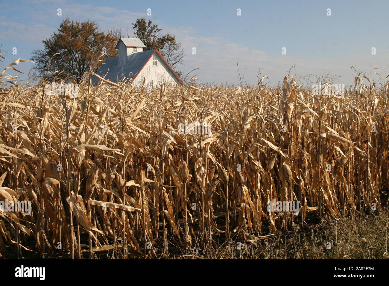 Illinois farm hi-res stock photography and images - Alamy