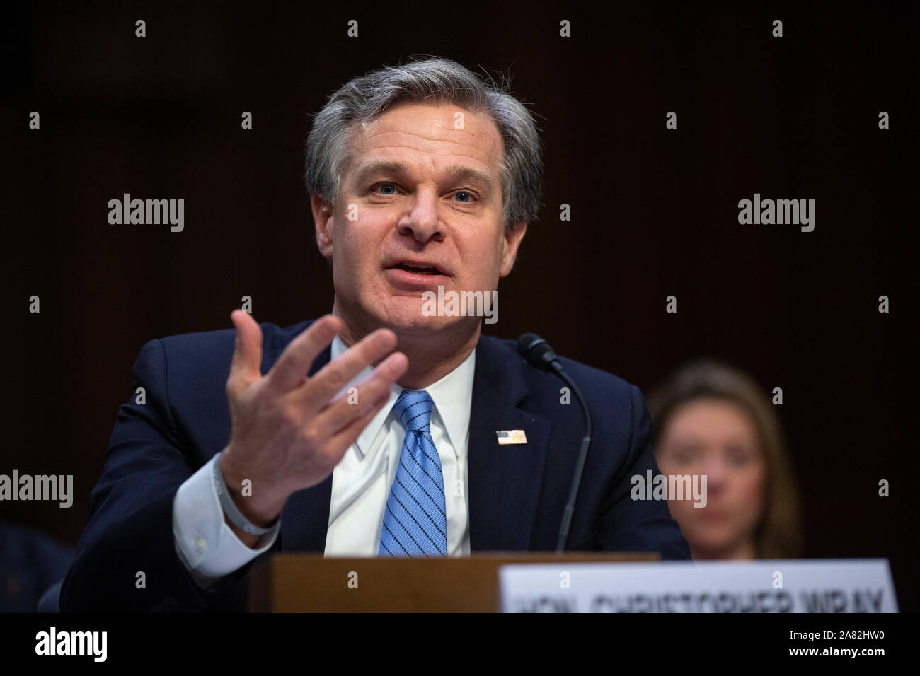 Washington, United States. 05th Nov, 2019. Director of the Federal ...