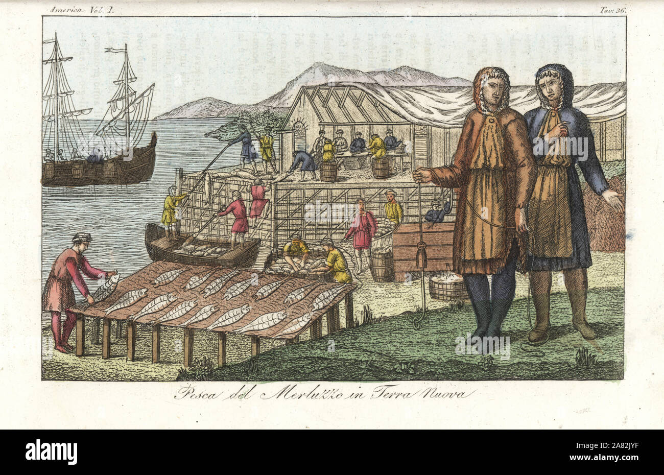 Cod fish illustration hi-res stock photography and images - Alamy