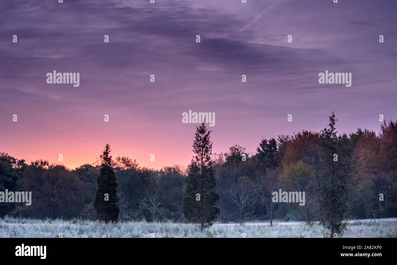 A beautiful fall morning in Michigan USA with frost on the ground and a ...